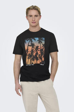 Camisetas de hombre | Rebajas | Springfield Oficial